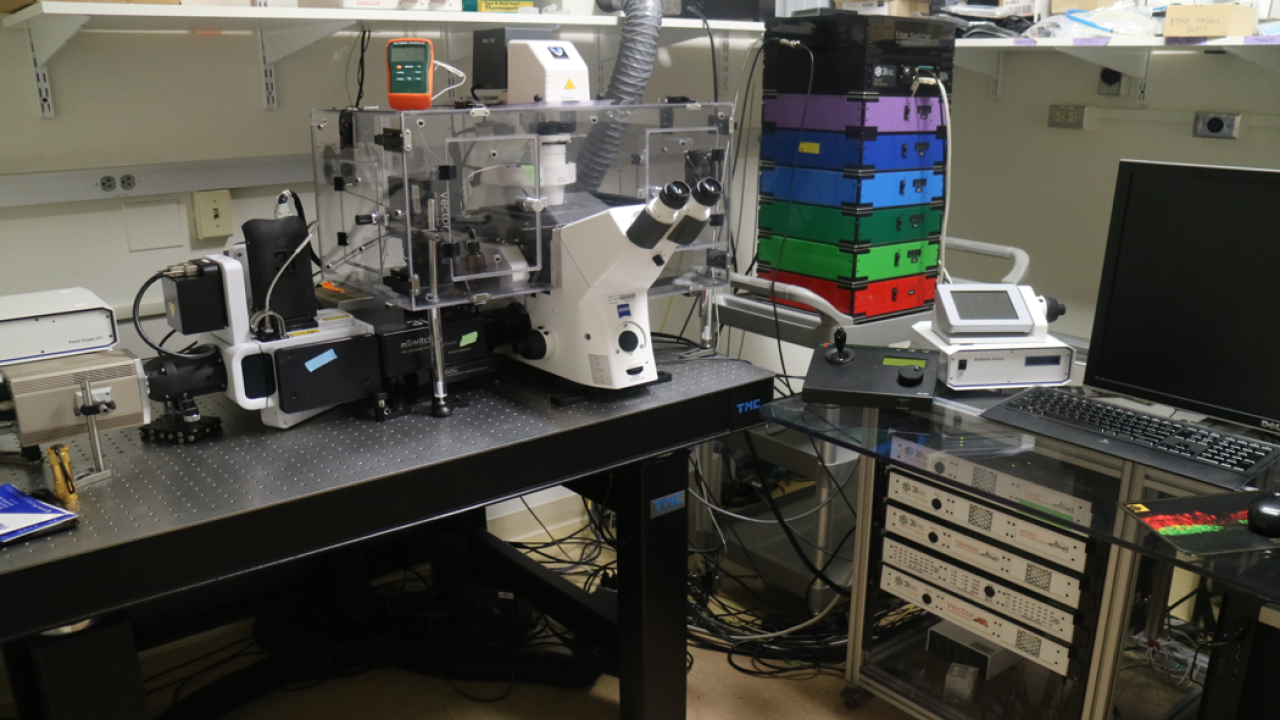 3i Spinning Disk Confocal | MCB Light Microscopy Imaging Facility