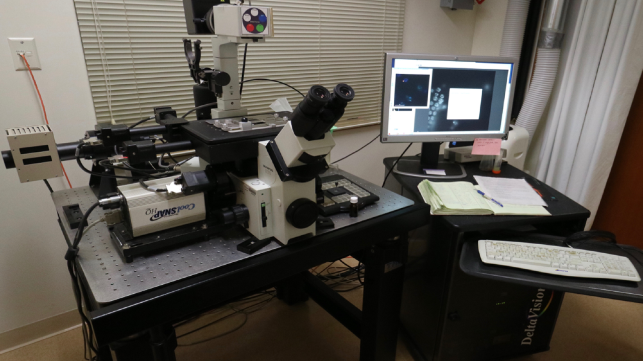API DeltaVision Ultra Deconvolution | MCB Light Microscopy Imaging Facility